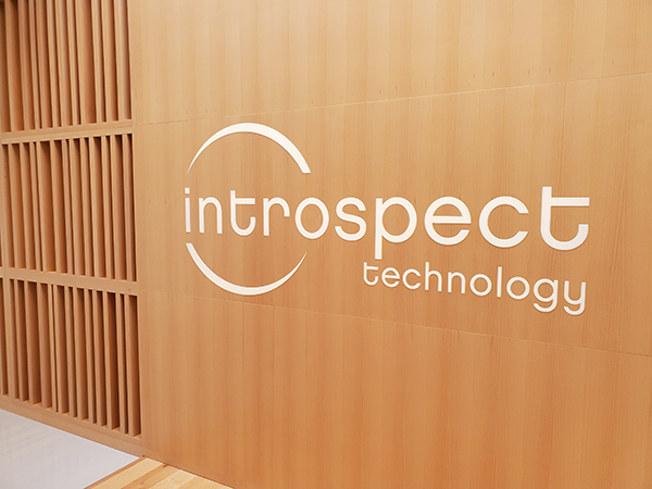 About Introspect Technology - CIE